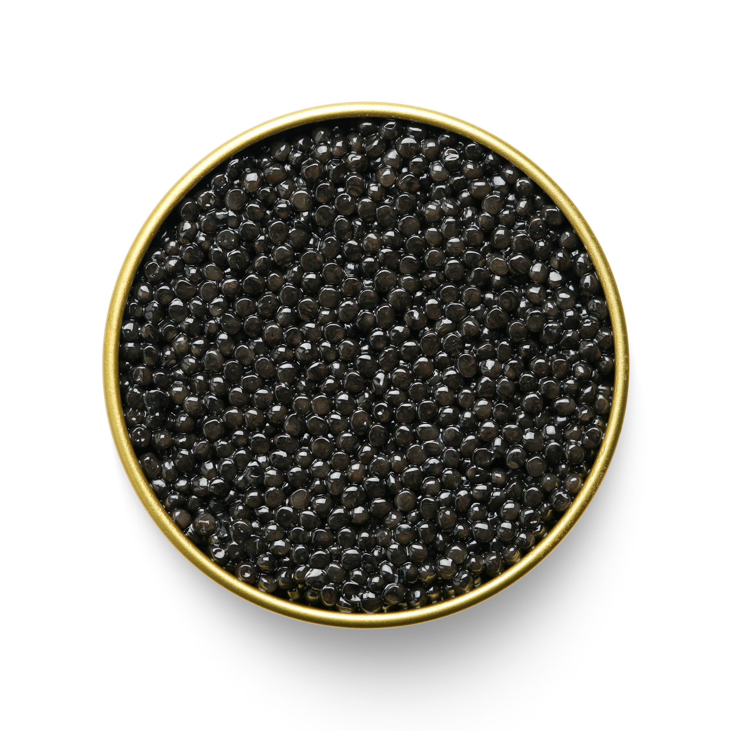 swelloysterco.com: Hackleback Sturgeon Caviar (10 Gram Tin)